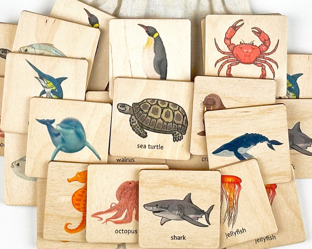 Wooden Montessori Ocean Animals Memory Game Sea Life Animals - Etsy