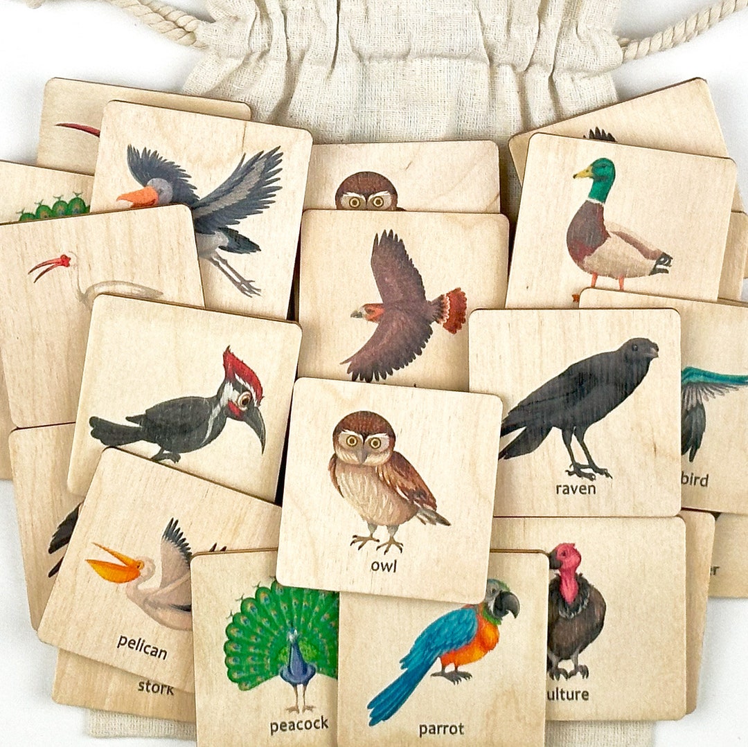 Montessori Wooden Birds Memory Game, 1 2 3 4 Year Old Montessori ...