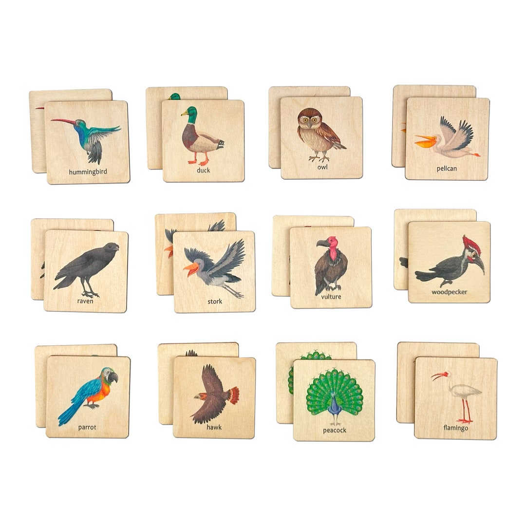 Montessori Wooden Birds Memory Game, 1 2 3 4 Year Old Montessori ...