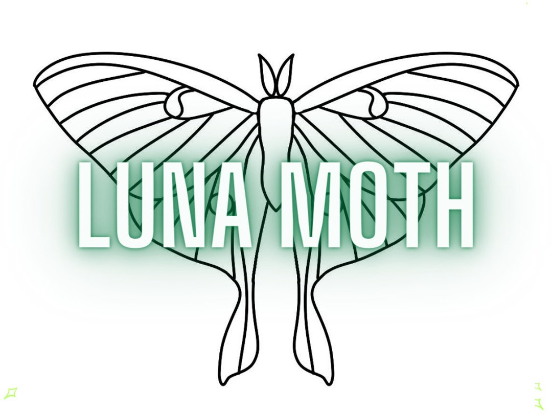 Luna Moth Stained Glass Pattern Printable Download - Etsy