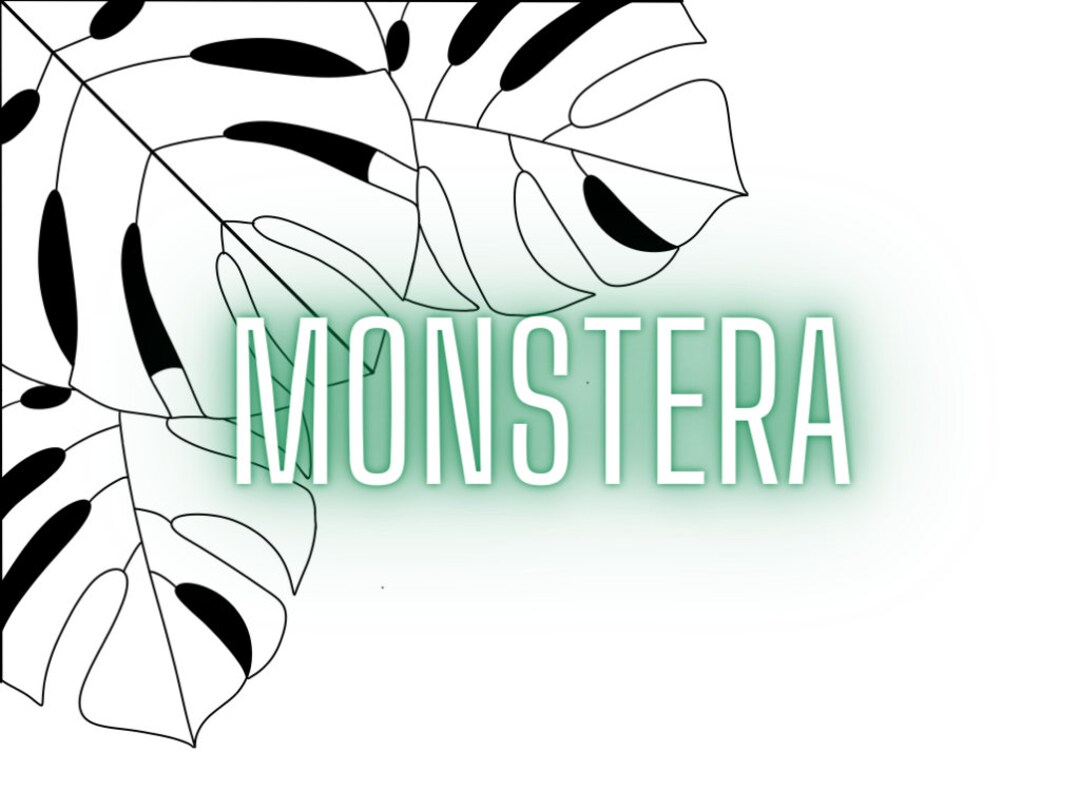 Corner Monstera Stained Glass Pattern Printable Download - Etsy