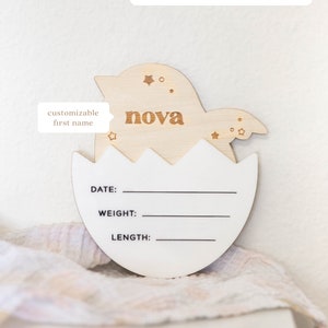 Birth Announcement Sign | Baby Bird | Personalized Custom Name | Birth ...