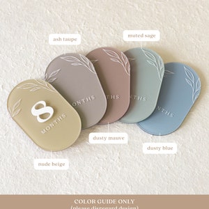 Acrylic Oval Trim Milestone Cards | Monthly Milestone Plaque Markers ...