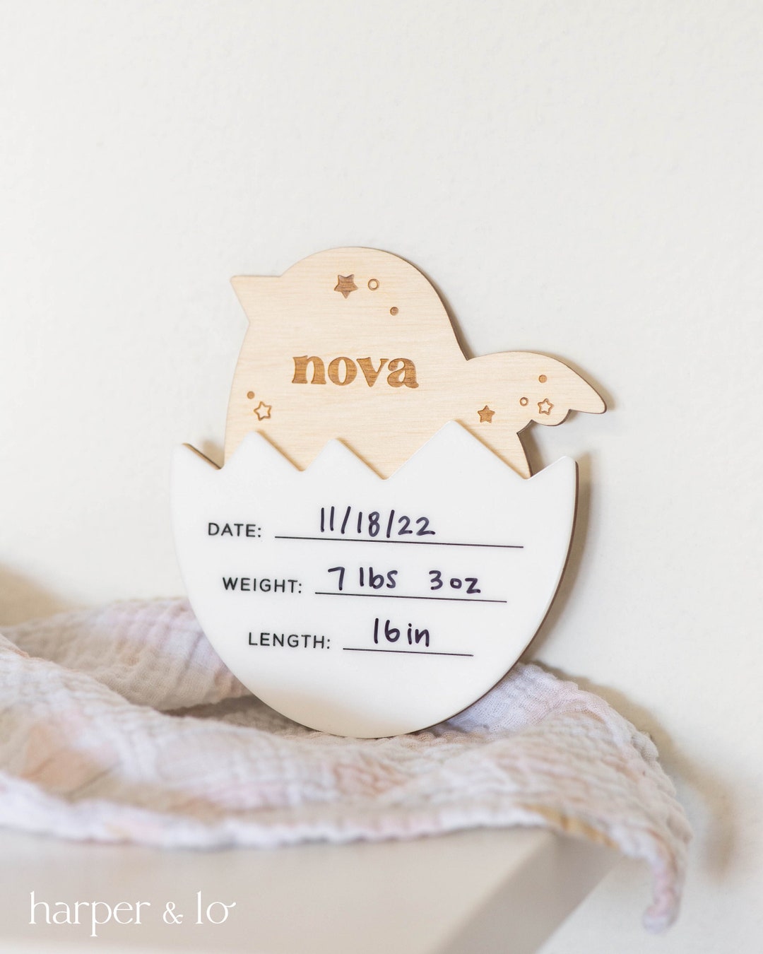 Birth Announcement Sign | Baby Bird | Personalized Custom Name | Birth ...