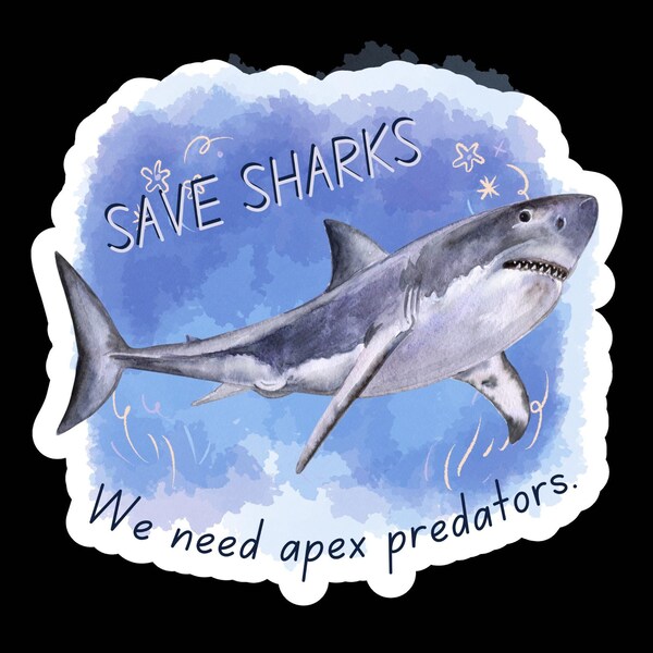 Shark Sticker, Durable, Weatherproof, Dishwasher Safe, Ocean Animal ...
