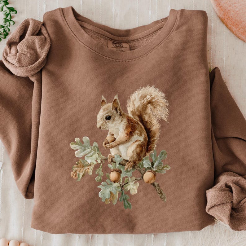 Cute Squirrel and Acorns Sweater, Squirrel Shirt, Cottage Core Clothes ...