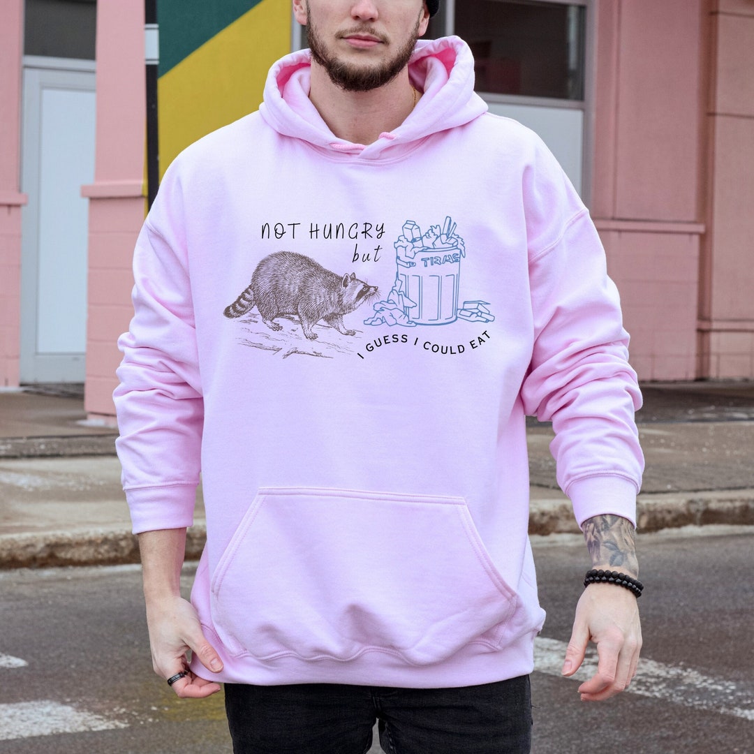 Raccoon Hoodie Trash Panda Sweatshirt Pastel Pink Hooded Sweater Funny ...