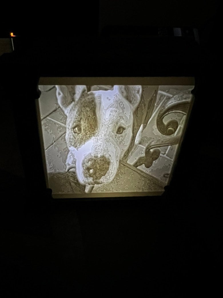 Custom Made 3D Printed Pictures/lithophanes | 3D Printed - Etsy