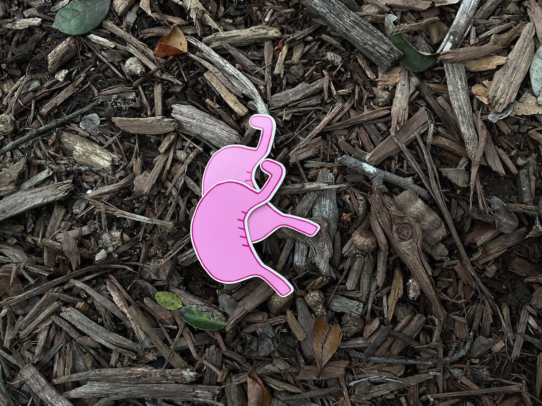 Stomach Glossy Die-cut Sticker Cute Tummy Ibs Sticker Vinyl Stickers ...