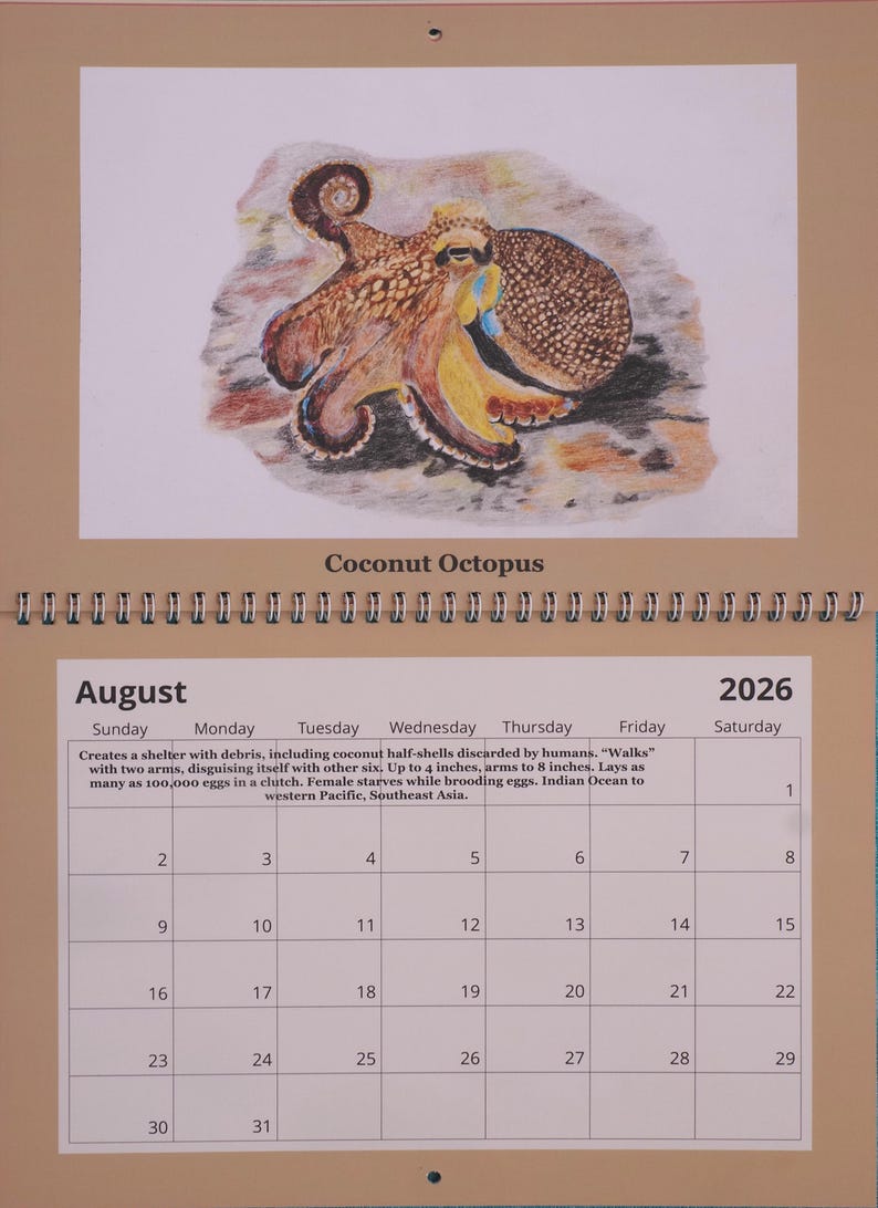 My Octopus Calendar - 2026 - Etsy