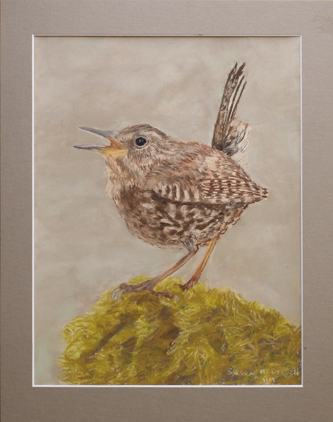 Pacific Wren, ORIGINAL Soft Pastel Artwork, 9x12 Inches Matted and ...