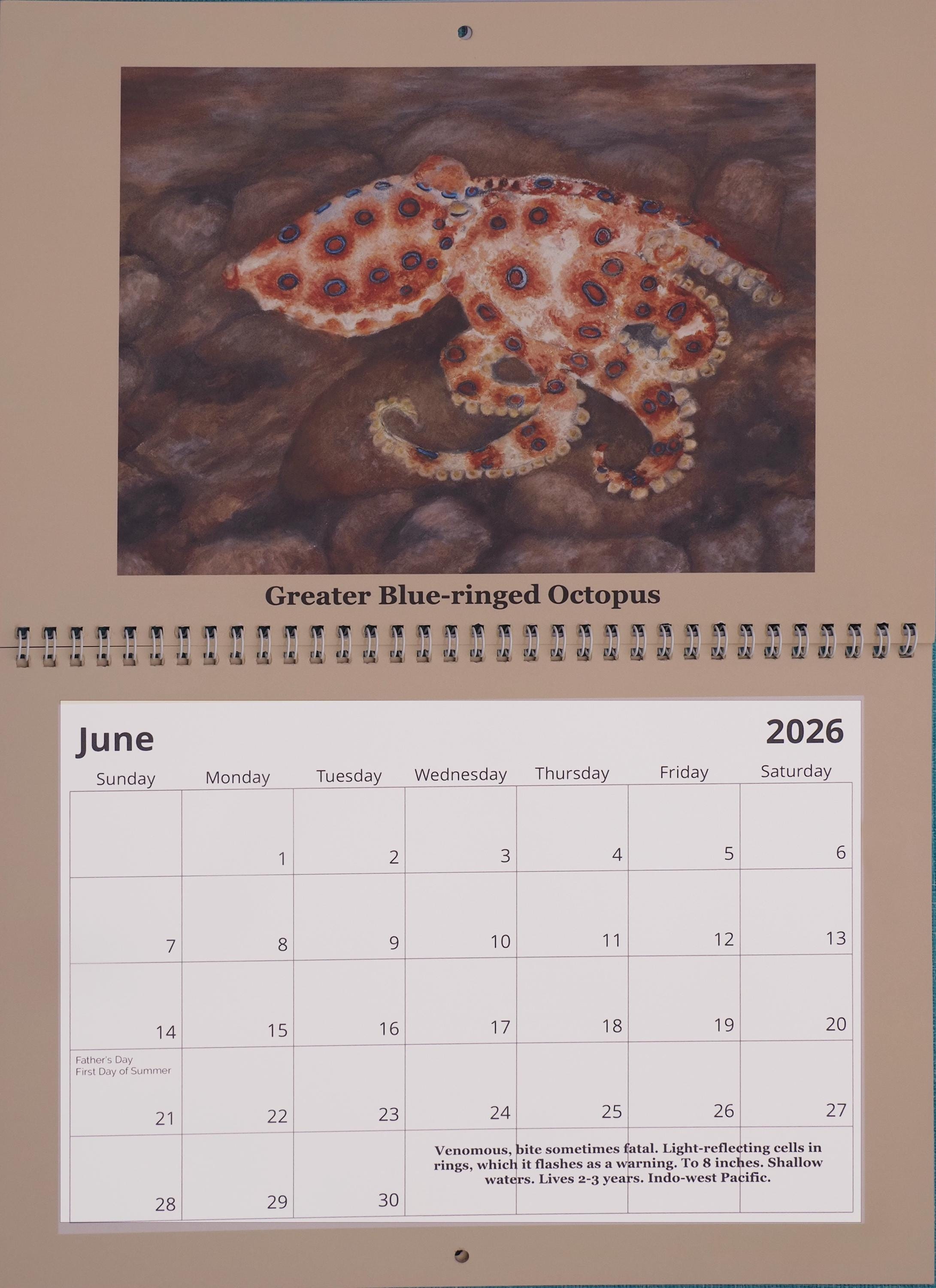 My Octopus Calendar - 2026 - Etsy