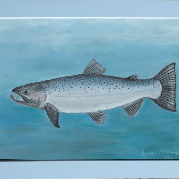 Steelhead Drawing - Etsy
