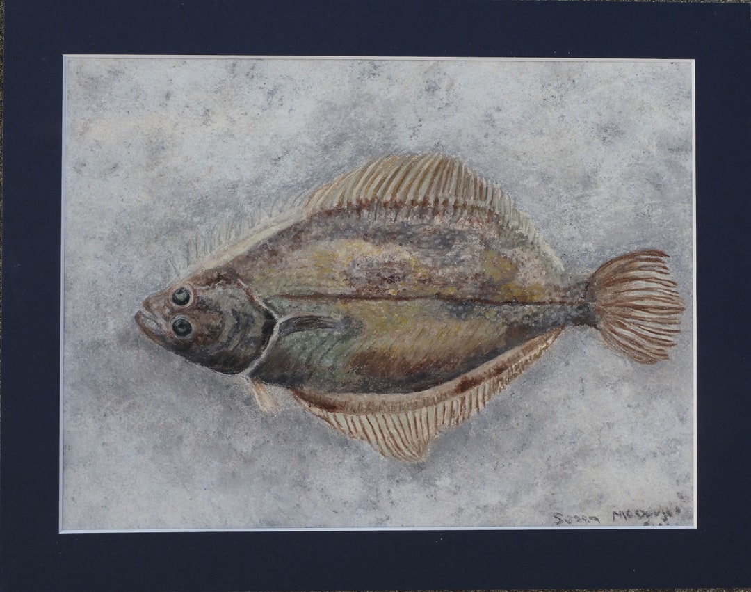 Pacific Sand Sole, Original Pastel Drawing, Fine Art, Matted, Ready to ...