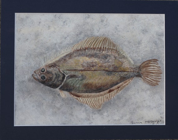 Pacific Sand Sole Original Pastel Drawing Fine Art Matted - Etsy