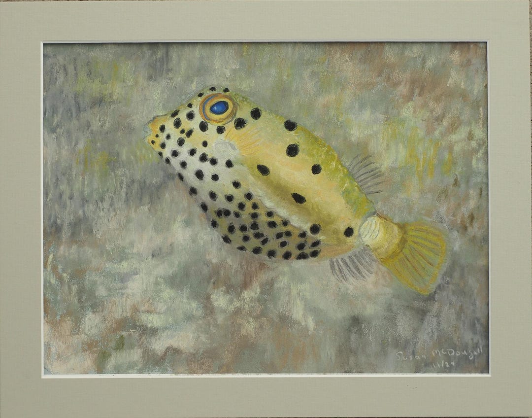 Yellow Boxfish, Original Pastel Drawing, Fine Art, Matted, Ready to ...