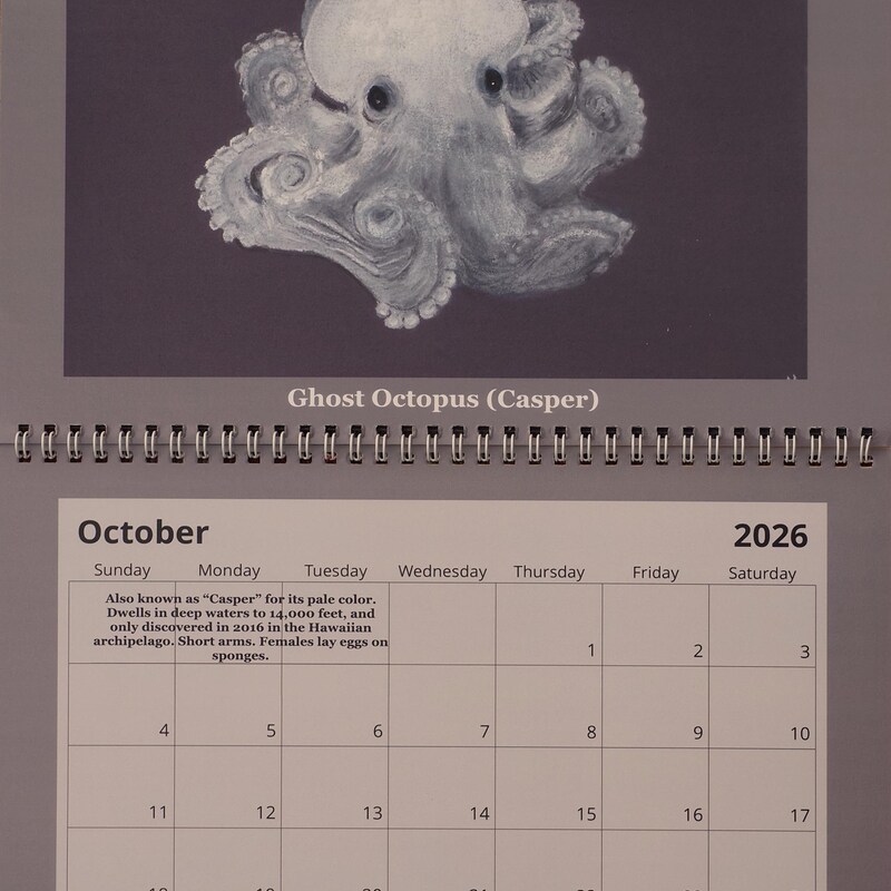 Octopus Art - Etsy