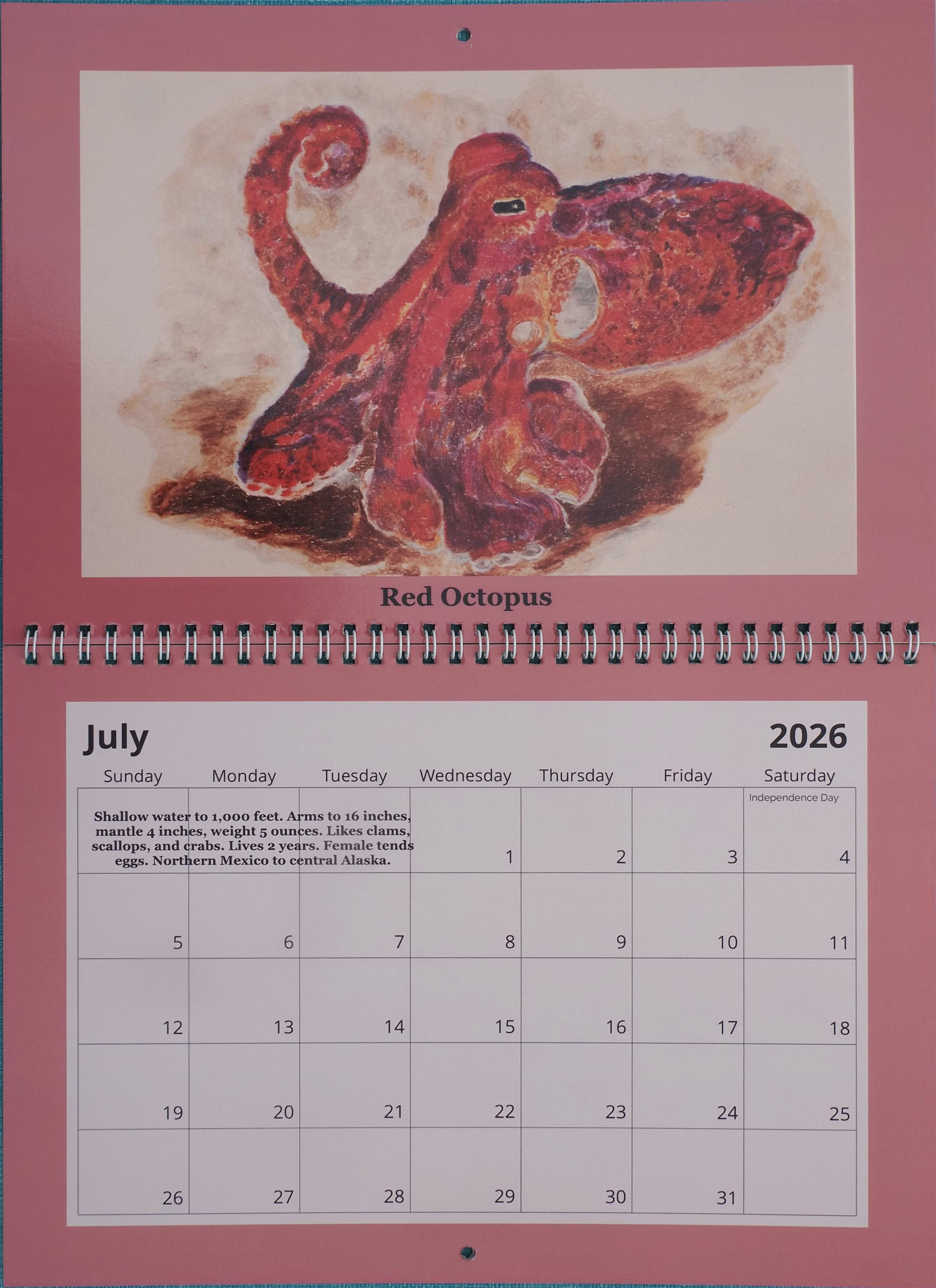 My Octopus Calendar - 2026 - Etsy