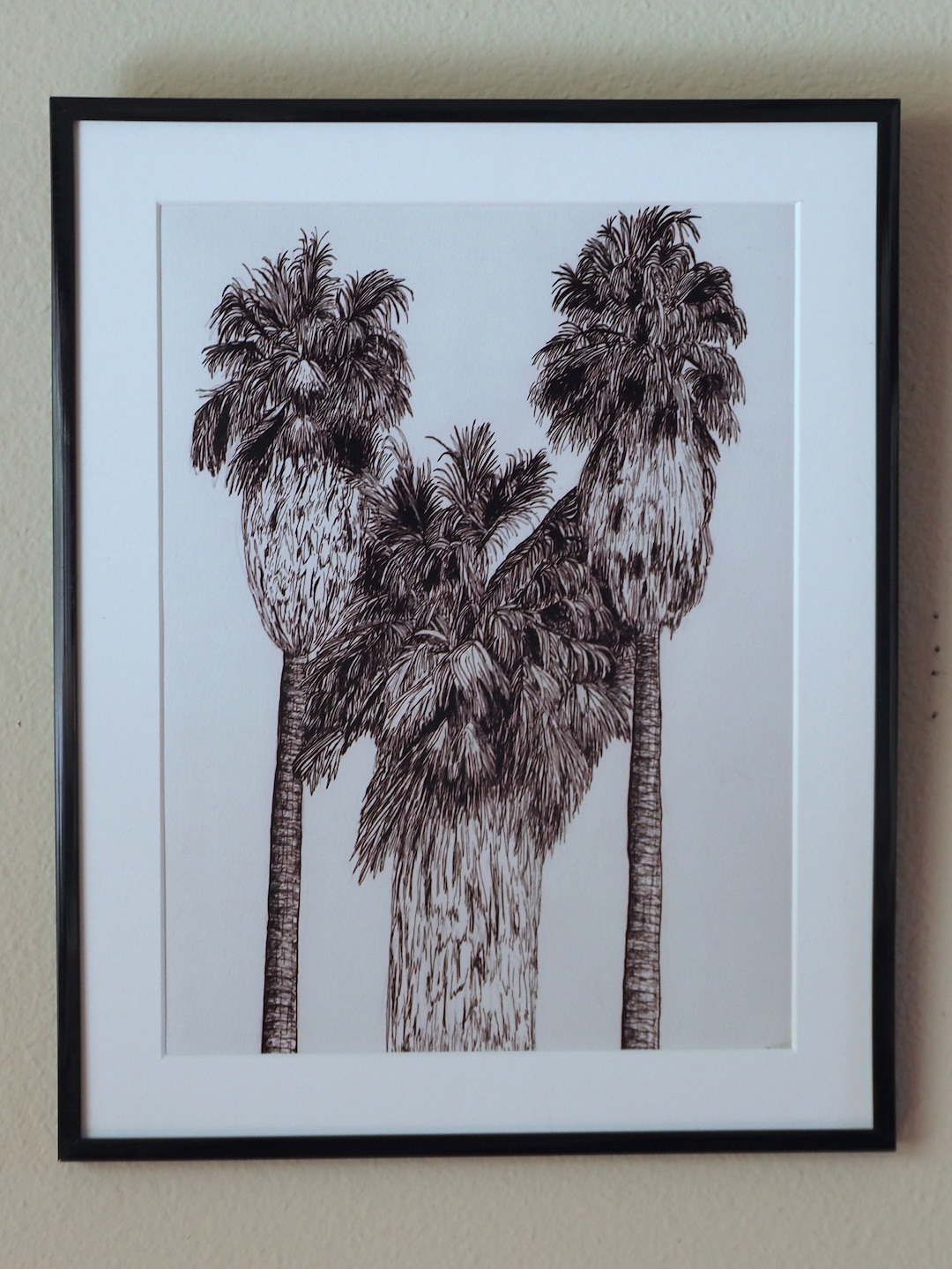 California Fan Palm, Pen and Ink Drawing, Downloadable Art, Printable ...