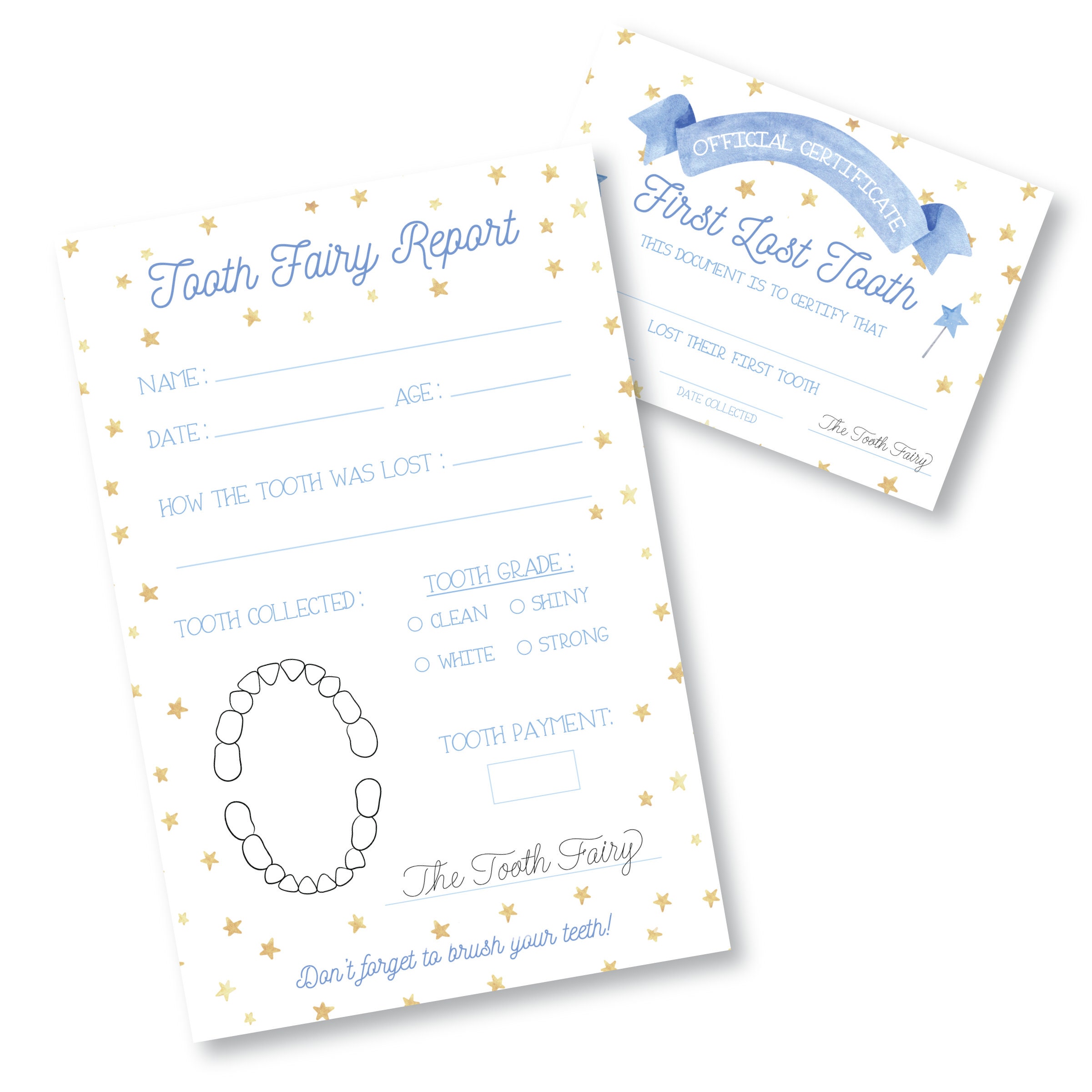 Tooth Fairy Report and Certificate Printable Digital Download PDF ...
