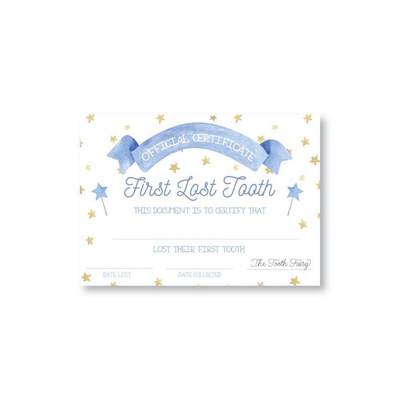 Tooth Fairy Report and Certificate Printable Digital Download - Etsy