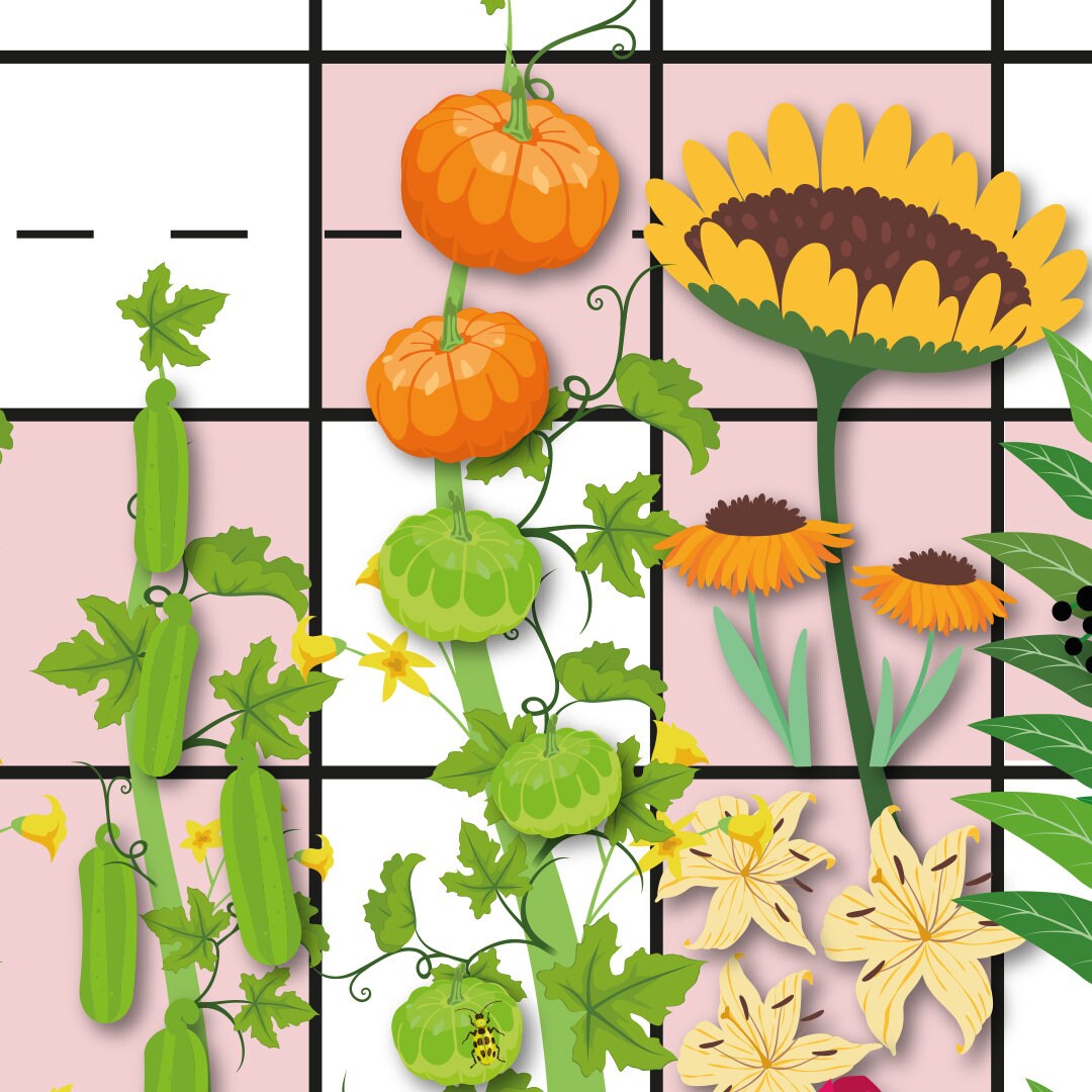 Sowing Calendar for Vegetables and Fruit A3, Printable Gardening ...