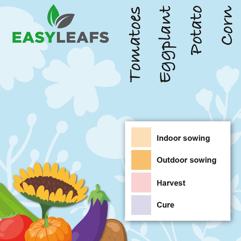 Sowing Calendar for Vegetables and Fruit A3, Printable Gardening ...