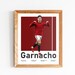 Printable Alejandro Garnacho Poster, Football Print, Argentinian ...