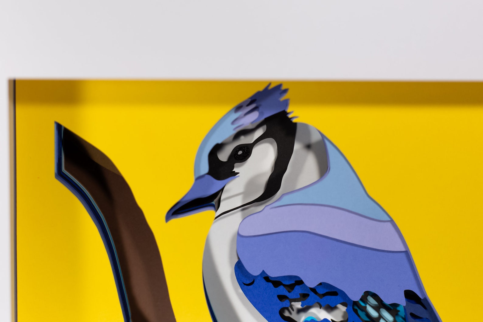 Blue Jay 3D Shadow Box SVG Bird SVG Shadow Box SVG Shadow - Etsy