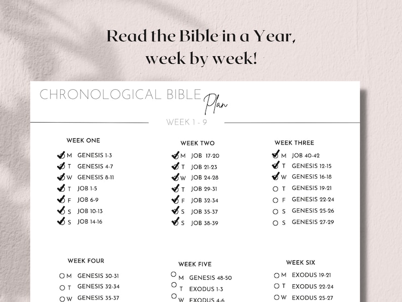 Chronological Bible Reading Plan | 52 Week Bible Reading Plan | 365 ...