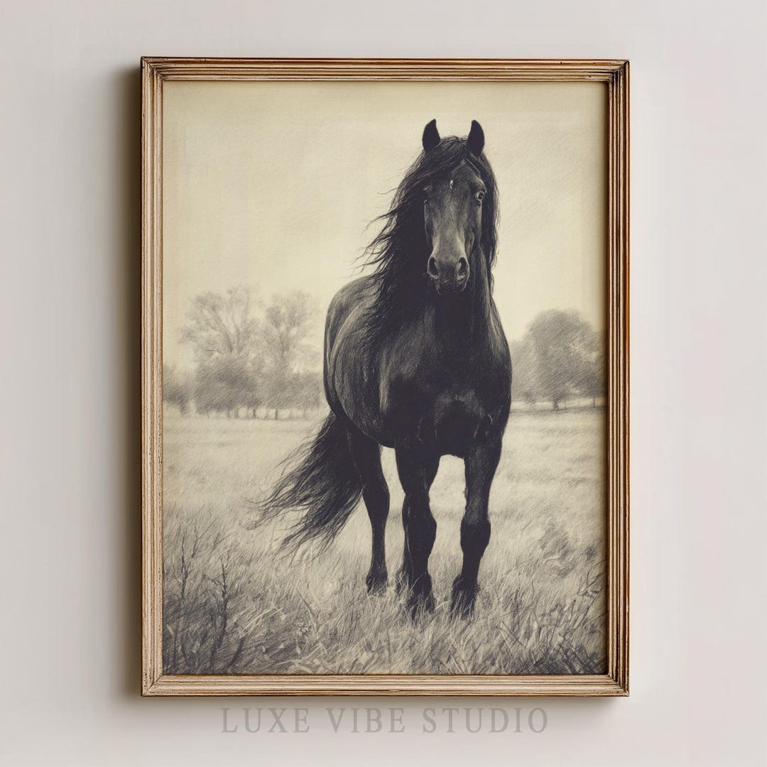 Vintage Equestrian Farmhouse Art, Printable Black Stallion Drawing ...