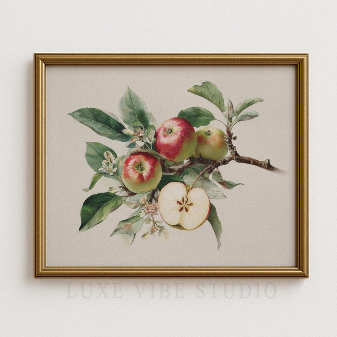 Vintage Watercolor Botanical Apple Branch Study - Cottagecore Malus ...