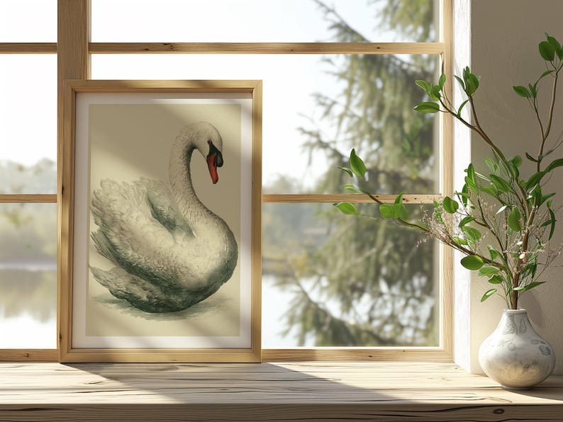 Vintage Swan Valentine Art - Printable Hand-drawn Swan, Neutral Classic ...