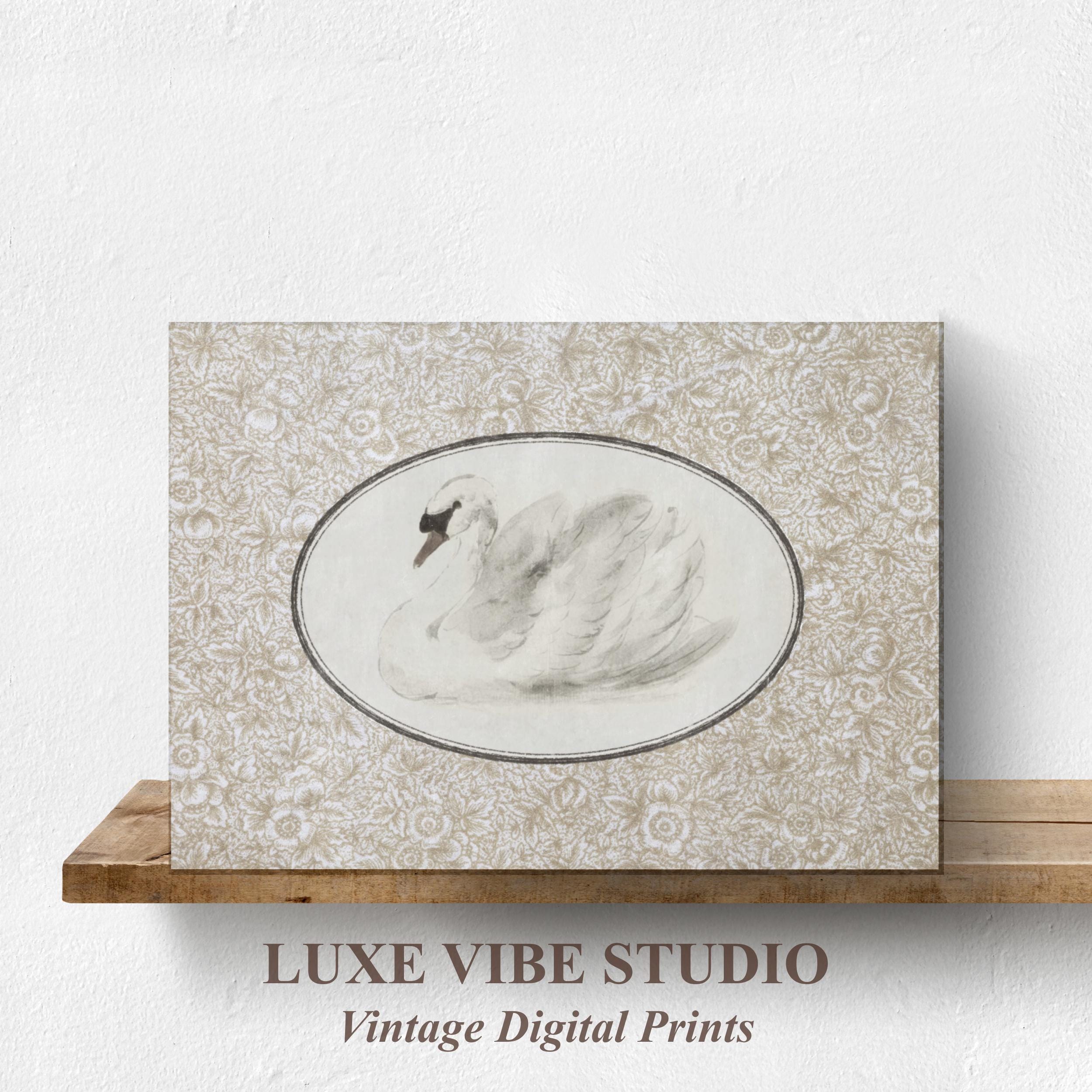 Vintage Swan Sketch - Neutral Wall Art, Classic Farmhouse Decor ...