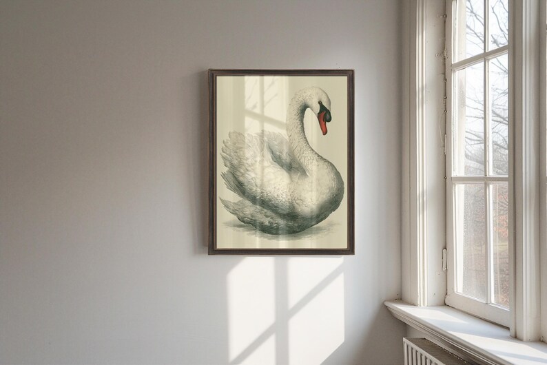 Vintage Swan Valentine Art - Printable Hand-drawn Swan, Neutral Classic ...