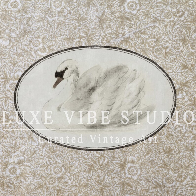 Vintage Swan Sketch - Neutral Wall Art, Classic Farmhouse Decor ...