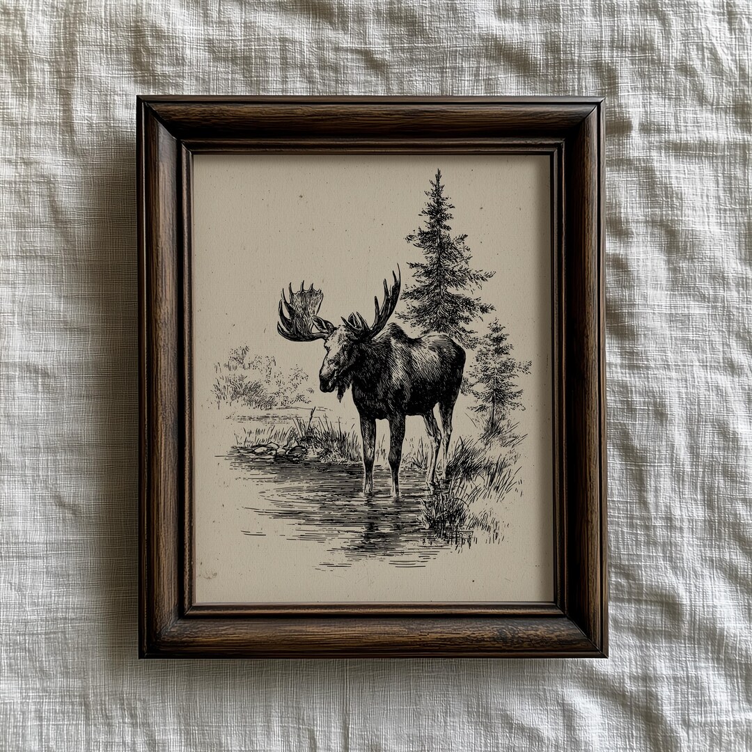 Rustic Woodland Moose Illustration - Black and White Art Print, Neutral ...