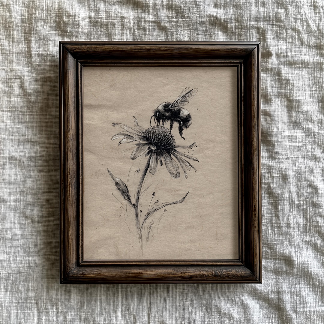 Rustic Bumblebee on Coneflower Printable Art - Vintage Ink Sketch ...