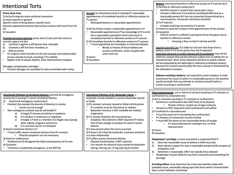 MBE Bar Exam Outline and Charts - Etsy