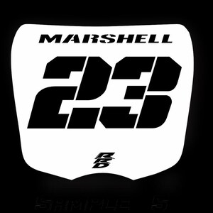 Personalized Mini Number Plate Decals, Custom Name Number Plate Decal ...