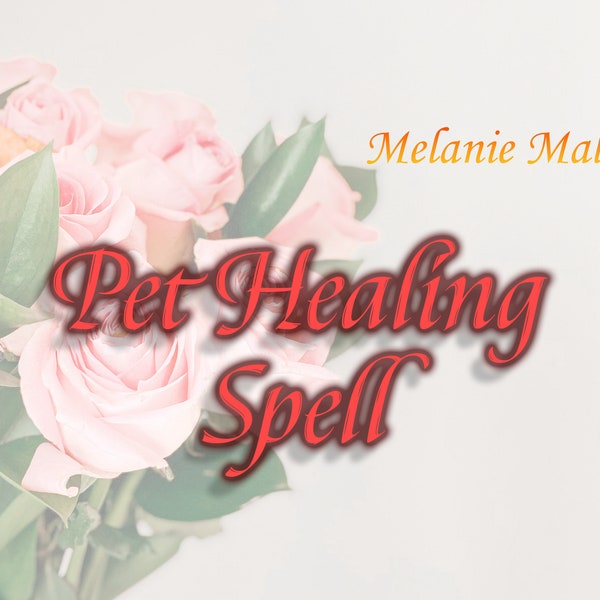 Pet Healing - Etsy