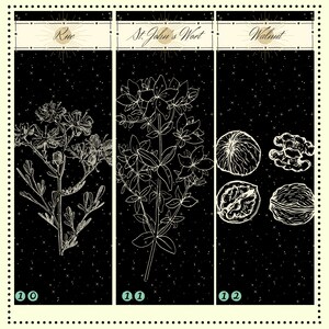 Printable Herbal Bookmarks Celestial Bookmark Set of 12 - Etsy
