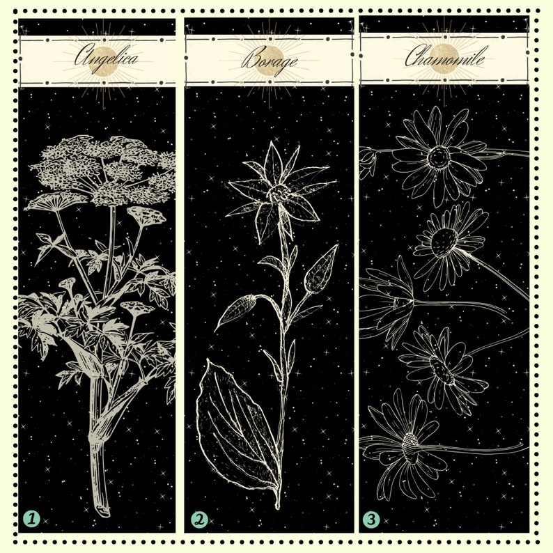 Printable Herbal Bookmarks Celestial Bookmark Set of 12 - Etsy