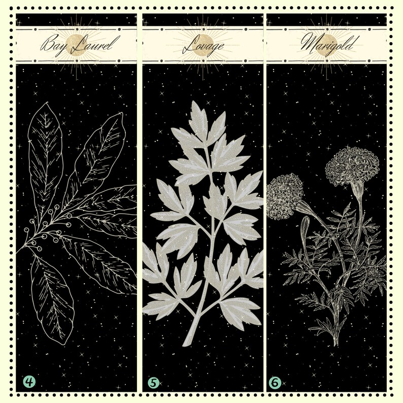 Printable Herbal Bookmarks Celestial Bookmark Set of 12 - Etsy