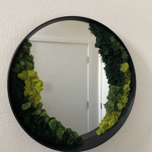 Moss Mirror - Etsy