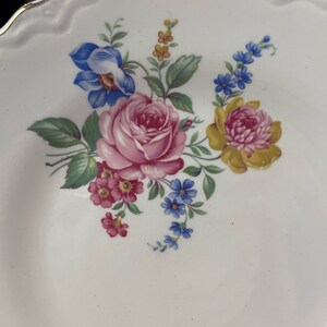 SCIO Potteries Hazel Pattern 7 1/4 Inch Salad Plates - Etsy