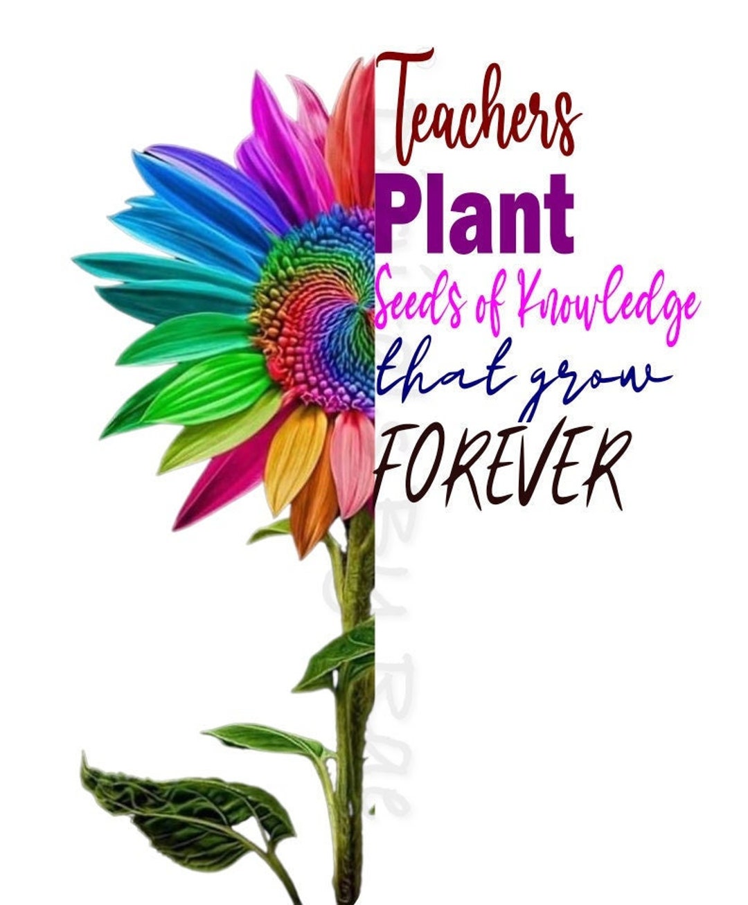 Teachers Plant Seeds PNG, Teachers Knowledge SVG, Teacher Gifts ...