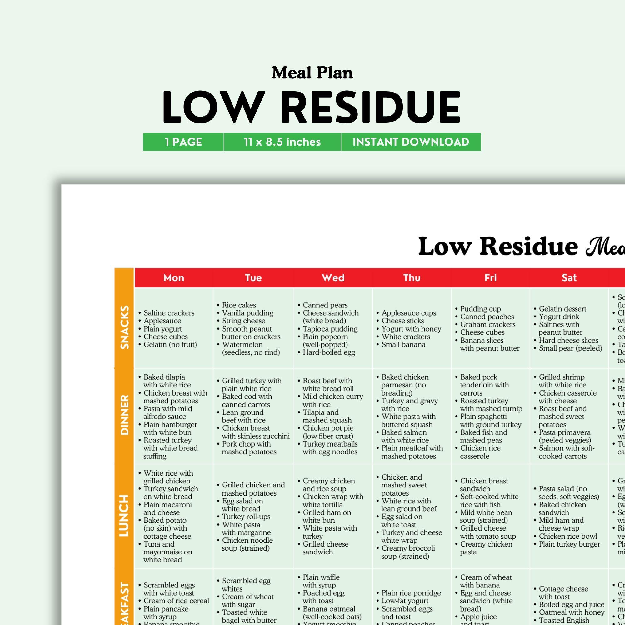 Low Residue Diet Meal (color PDF) - Etsy