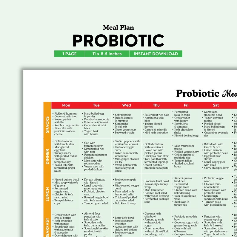Probiotic Meal Plan: Gut Health Foods Guide (PDF Printable) - Etsy