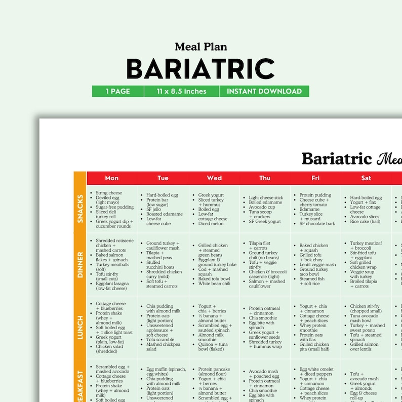 Bariatric Meal Plan (color PDF) - Etsy
